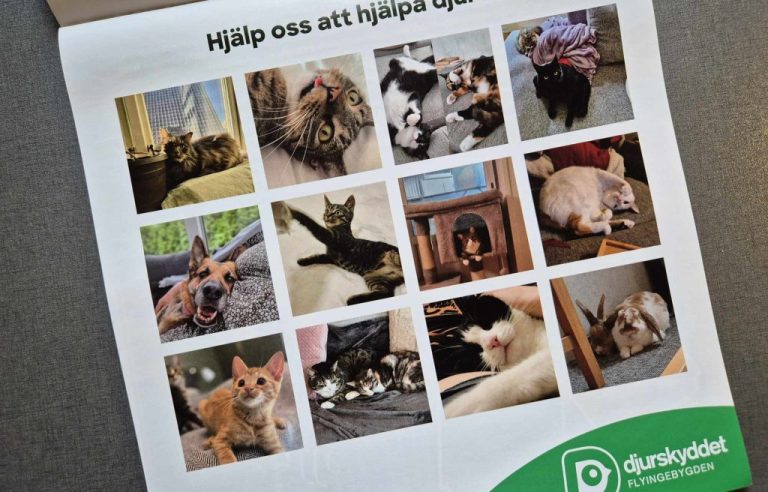 Årskalender 2025 | Djurskyddet Flyingebygden