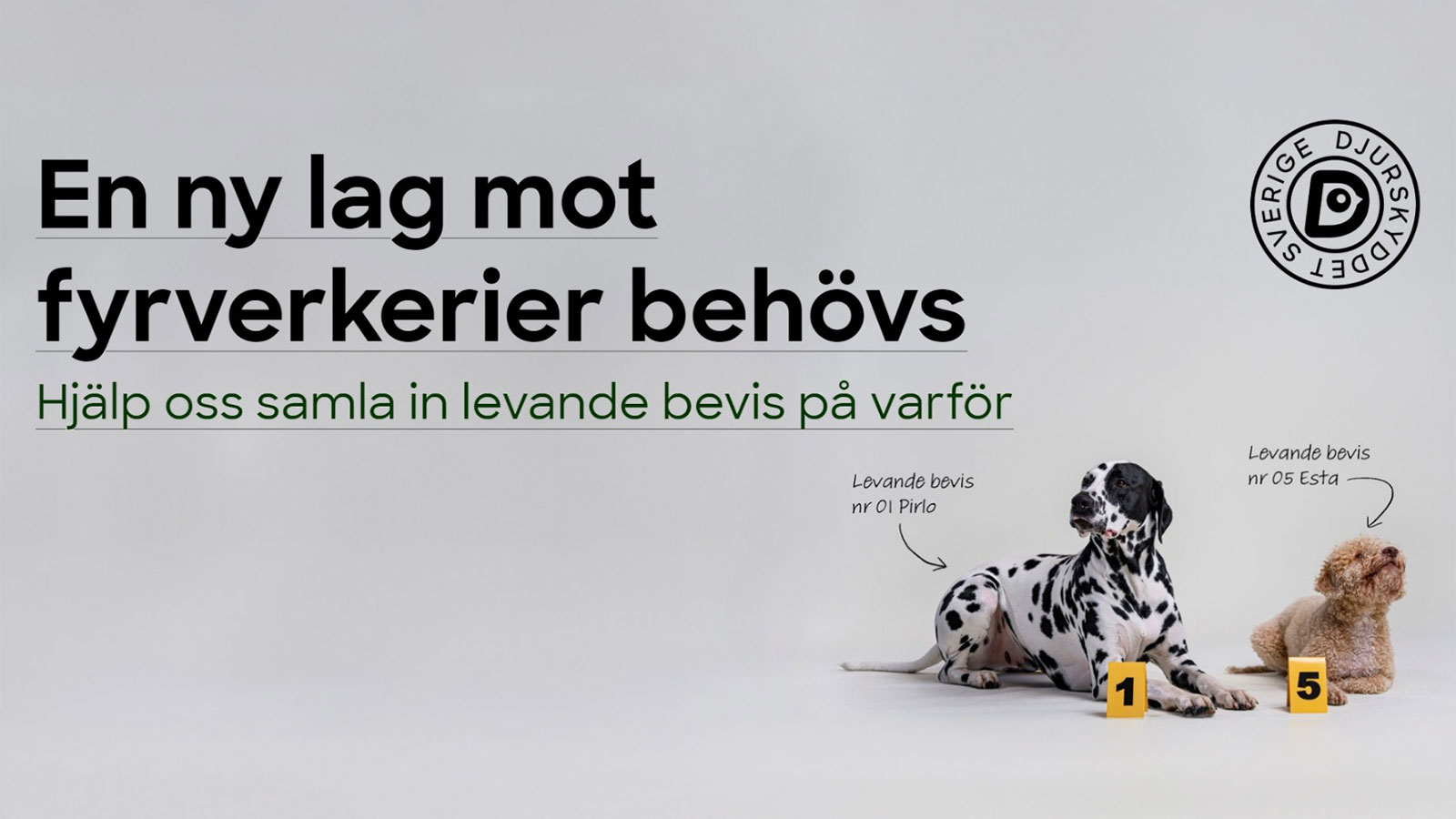 Ebba – Levande bevis