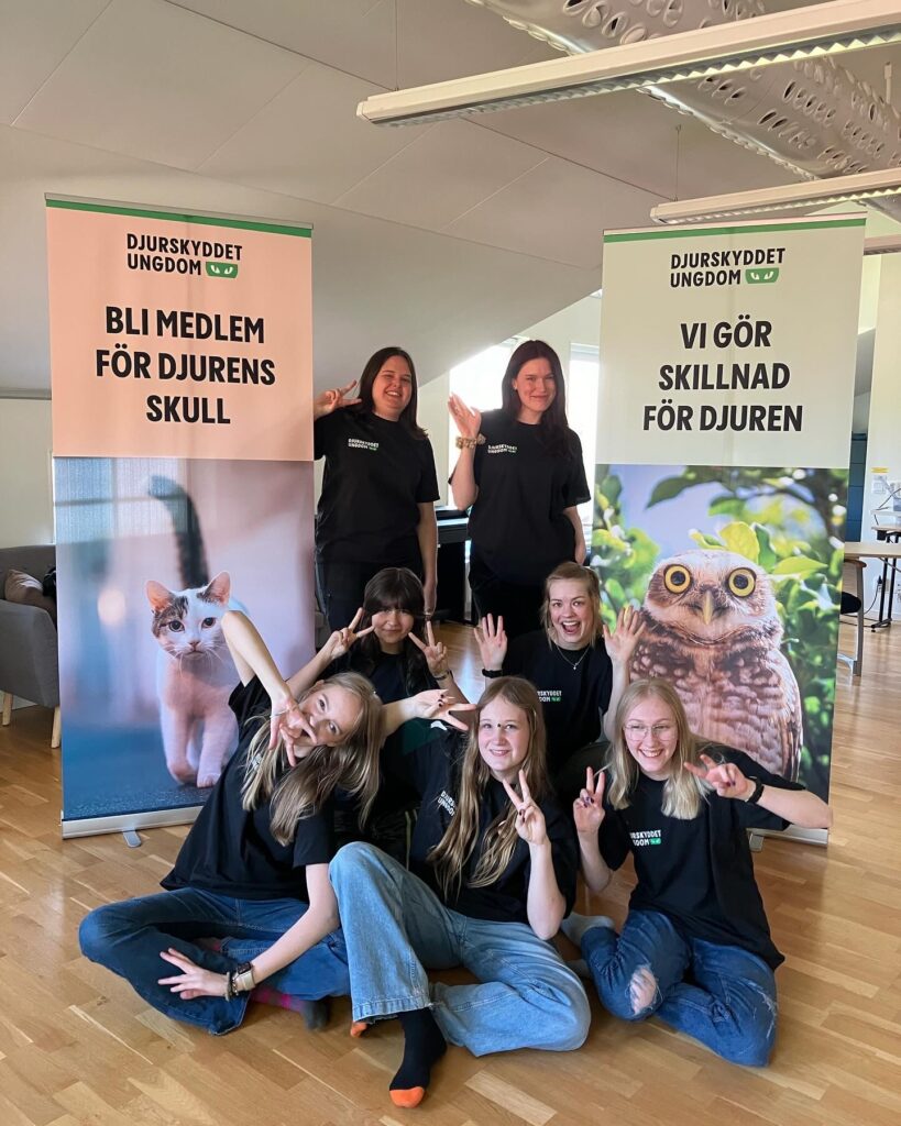 Årets höjdpunkt – Djurskyddet Ungdom